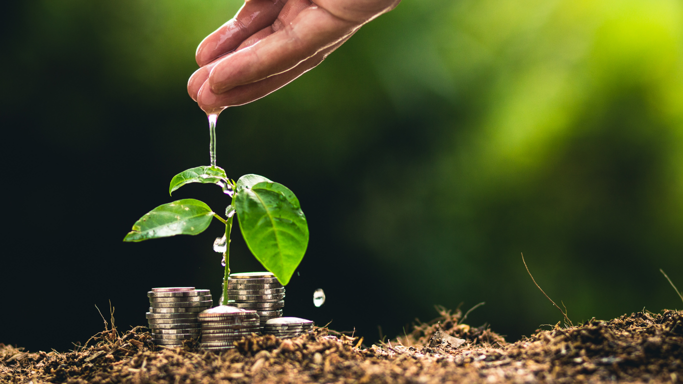 Harvesting Profits: Planting Strategies Propel Business Success